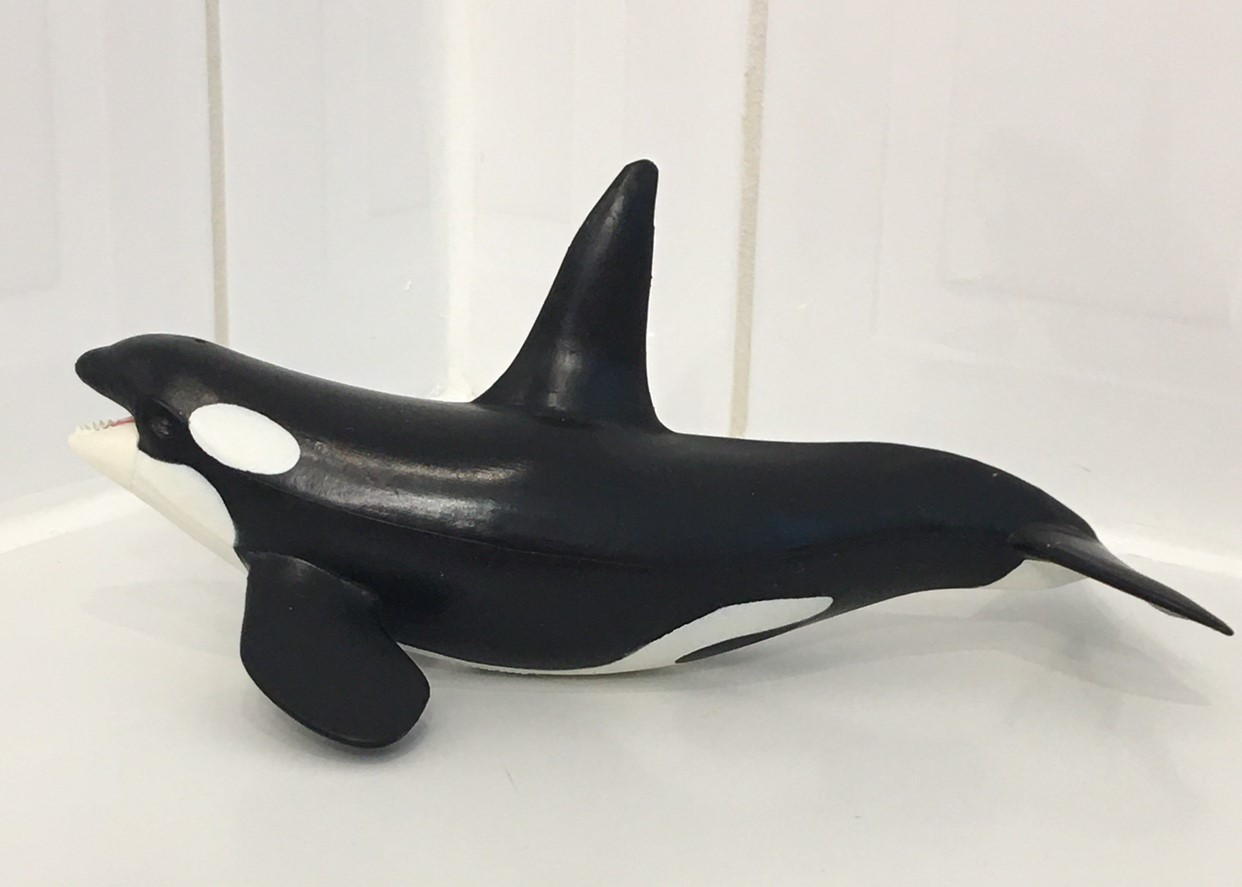 Whale, Whale, Boom, Boom, Boom! – Boggild Lab